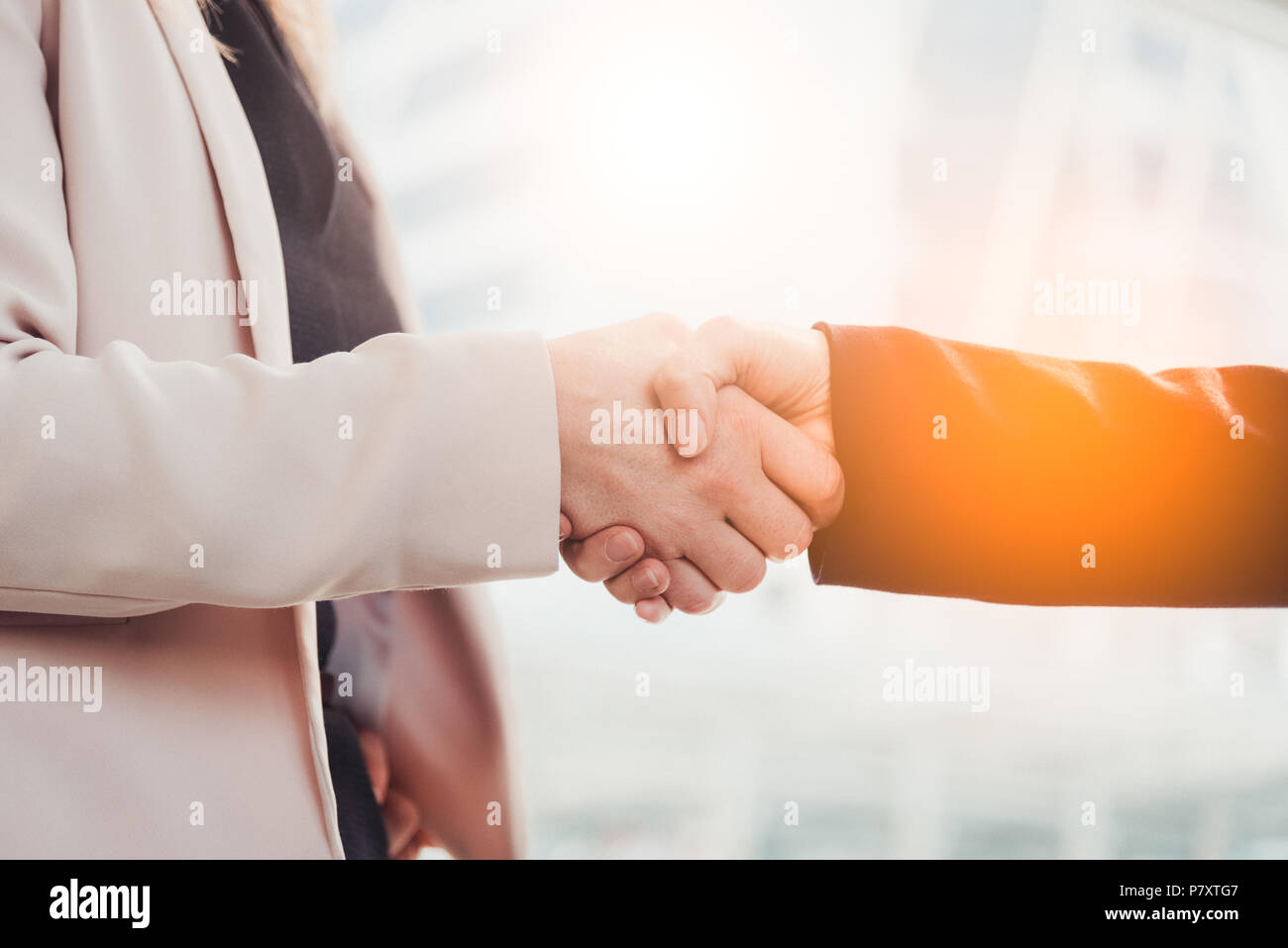 Business people hand shake for dealing with new project. Business and ...