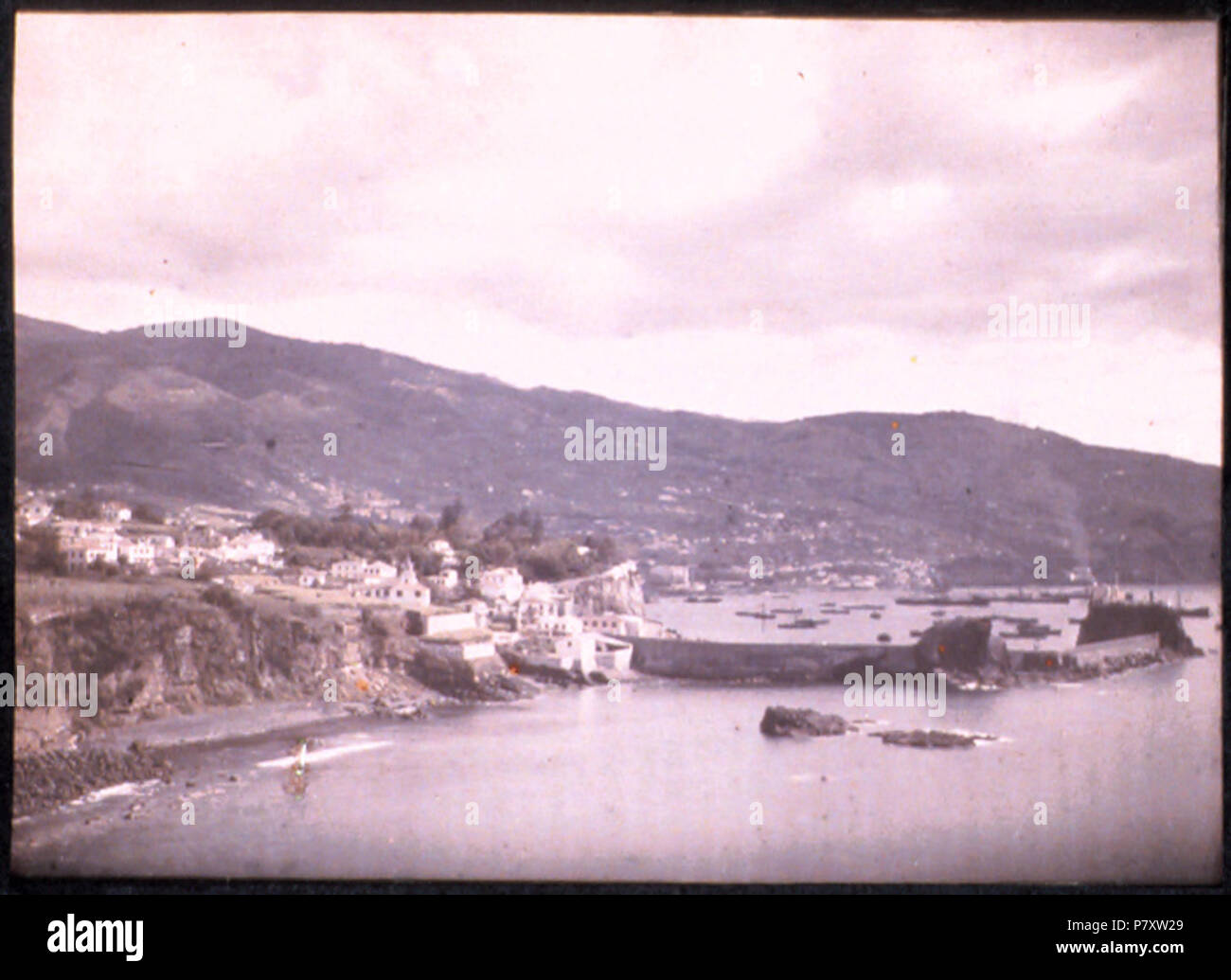 Colour Photograph (Autochrome) of Funchal Bay, Madeira, by Sarah ...