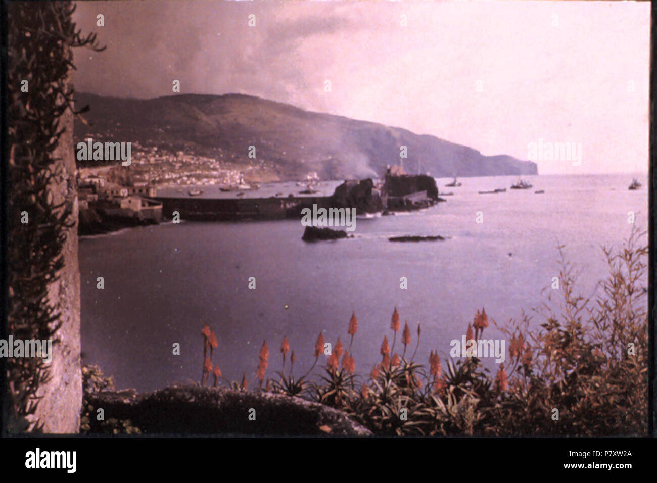 Colour Photograph (Autochrome) of Funchal Bay, Madeira, by Sarah ...