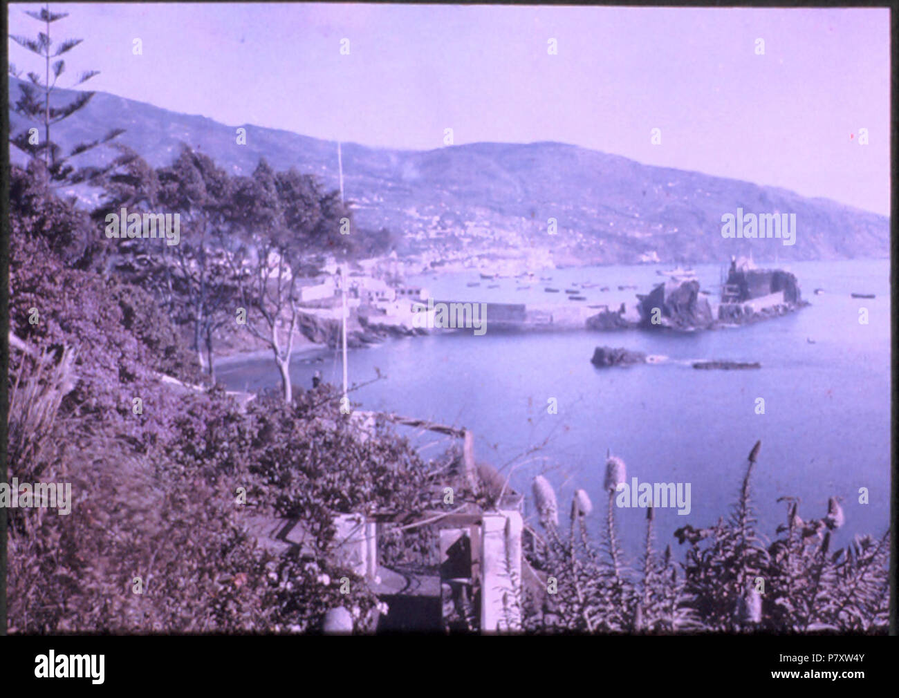 Sarah madeira hi-res stock photography and images - Alamy