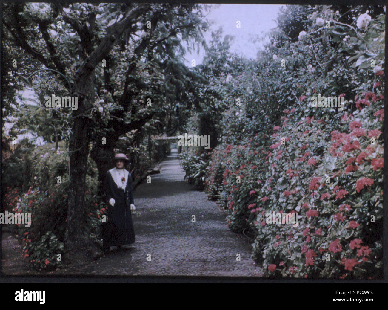 Colour Photograph (Paget Process) of a Garden in Madeira, with Figure ...