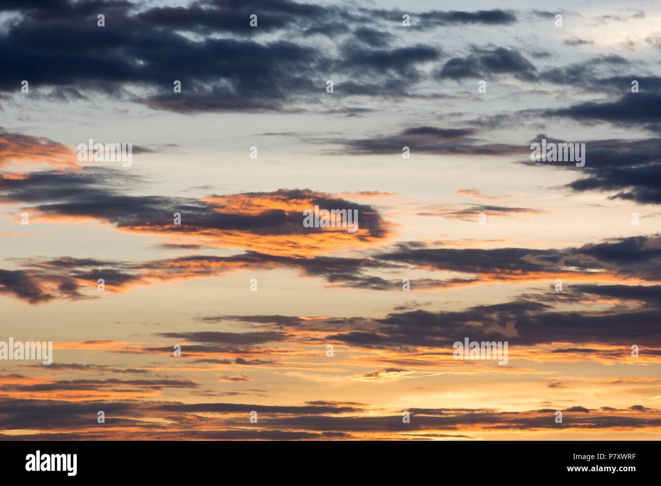Golden Twilight dawn sky before sunset, Sky background, Nature concept ...
