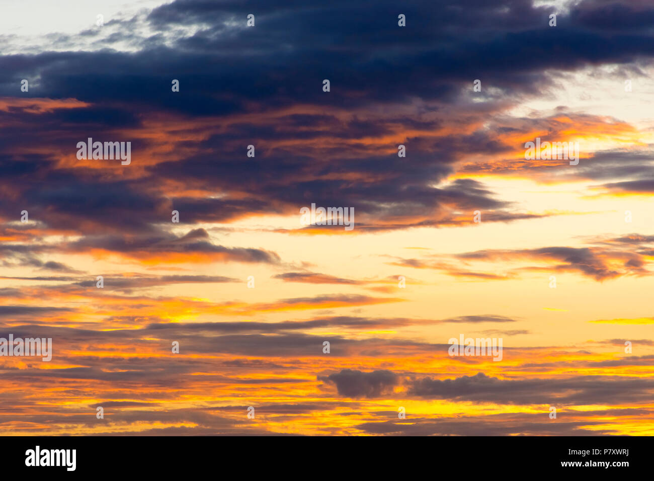 Golden Twilight dawn sky before sunset, Sky background, Nature concept ...