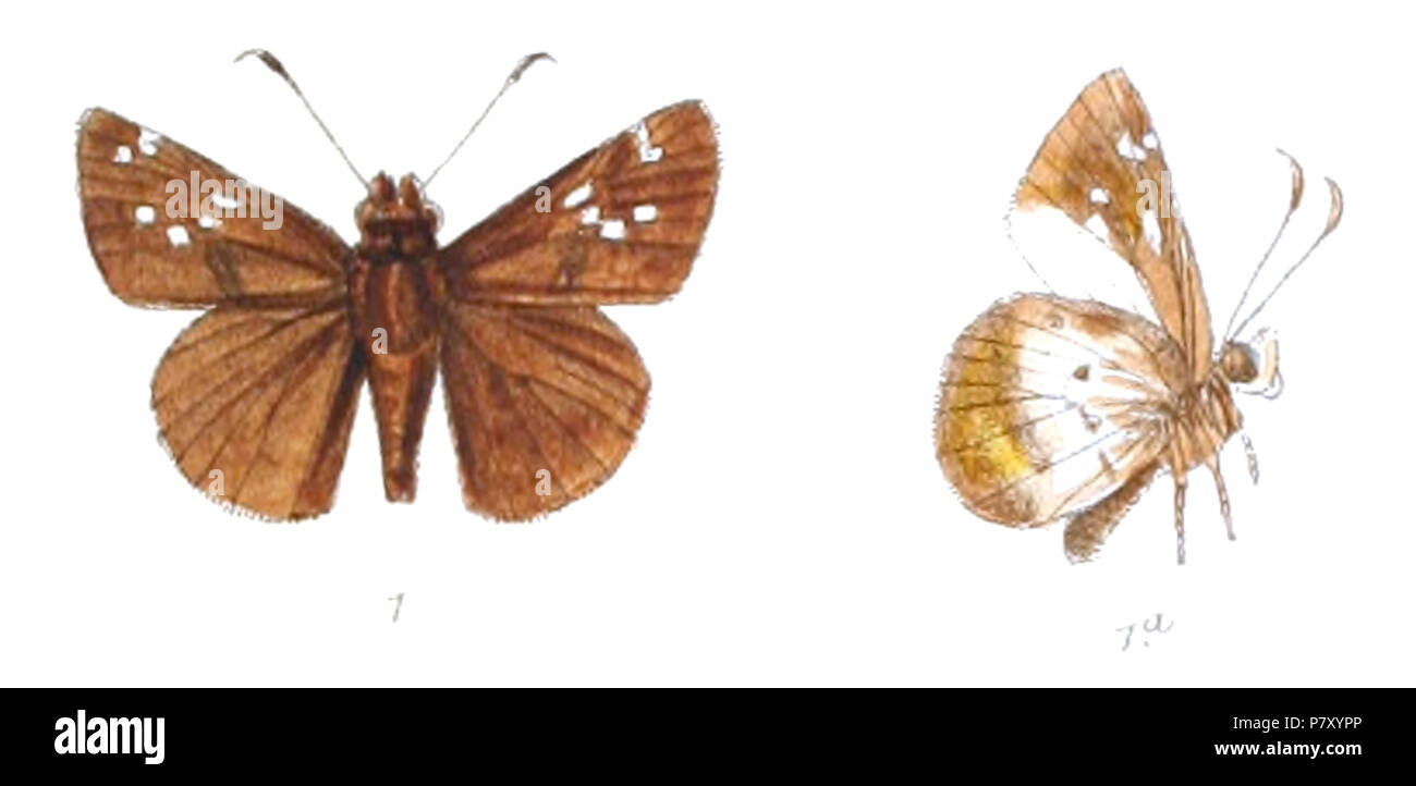 Warfare middle ages knights Cut Out Stock Images & Pictures - Alamy