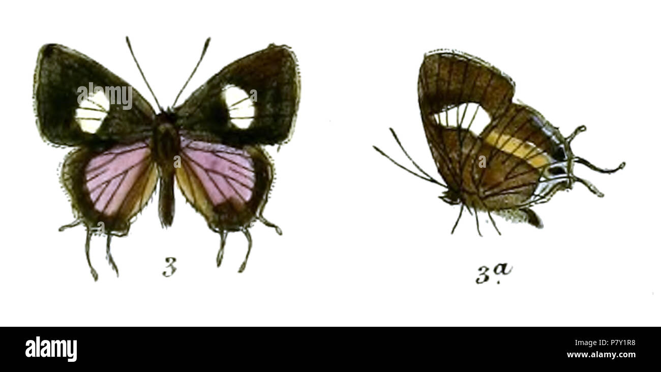 707 Cut Out Stock Images & Pictures - Alamy