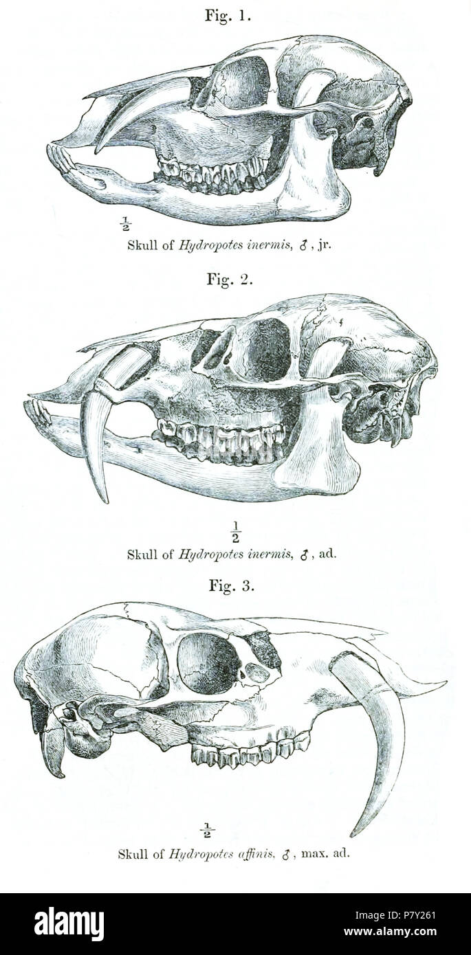 1872 ad hi-res stock photography and images - Alamy