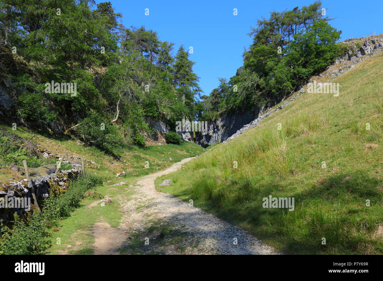 Trow Gill Gorge at the foot of Ingleborough Mountain in the Yorkshire ...