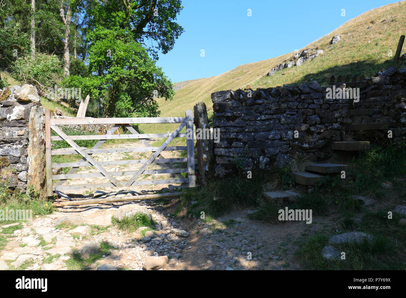Trow Gill Gorge at the foot of Ingleborough Mountain in the Yorkshire ...