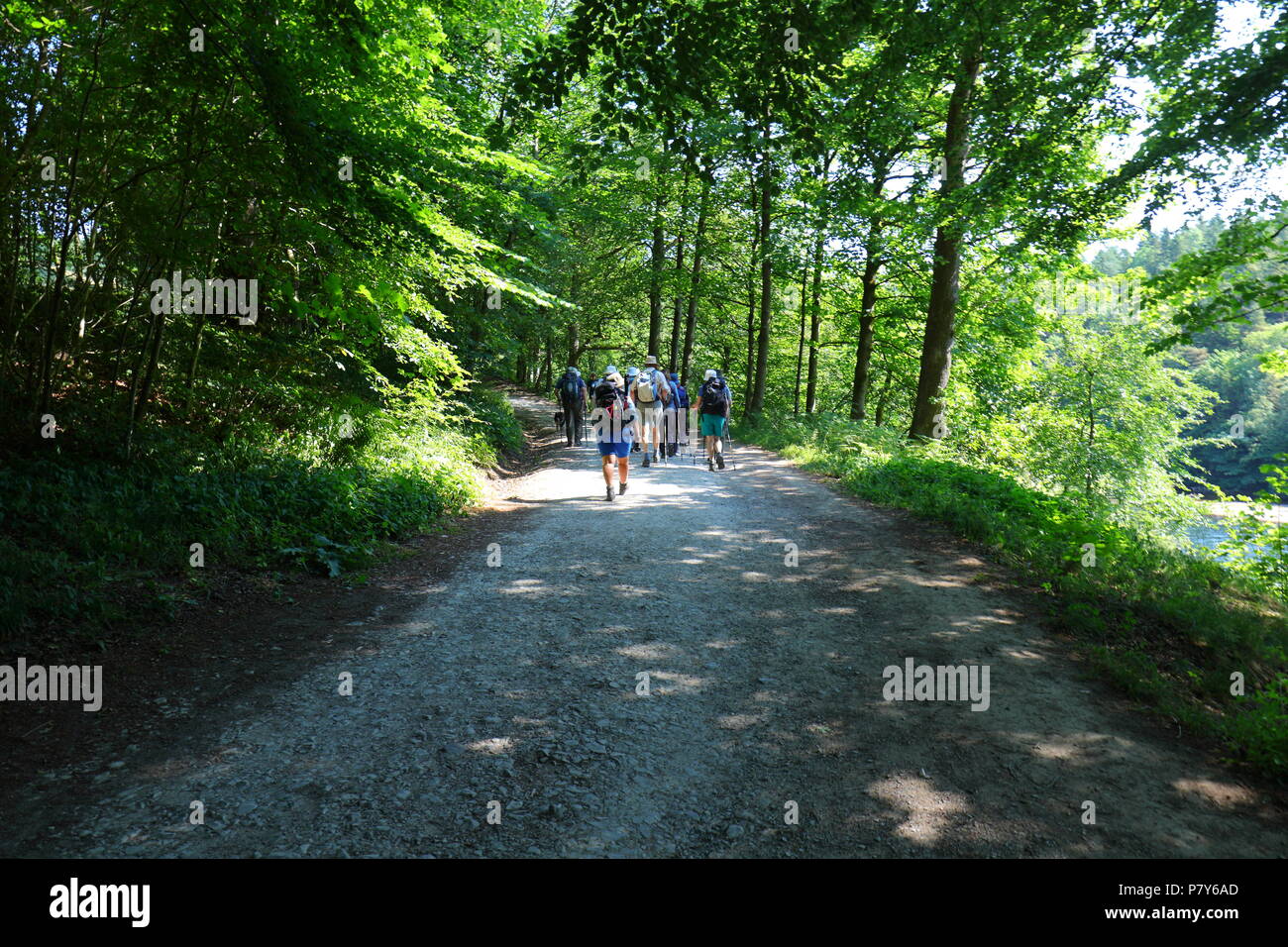 Hikers set off on a walk towards Ingleborough Mountain which starts in ...