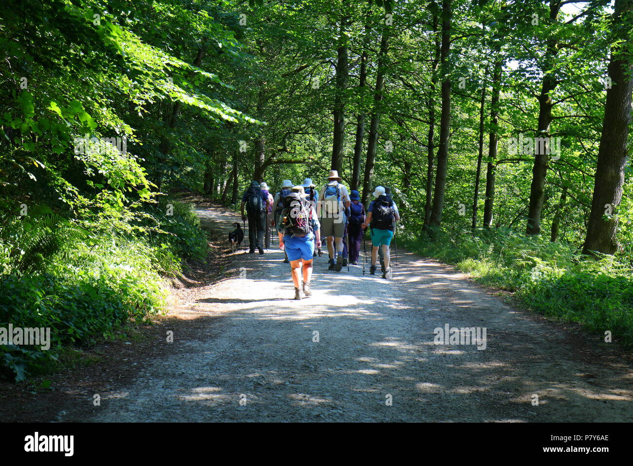 Clapham village yorkshire dales hi-res stock photography and images - Alamy