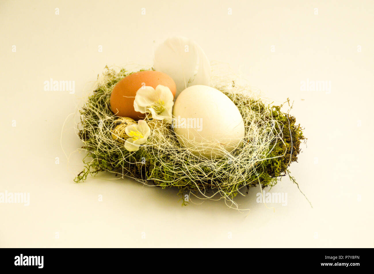 Rebirth symbol hi-res stock photography and images - Alamy
