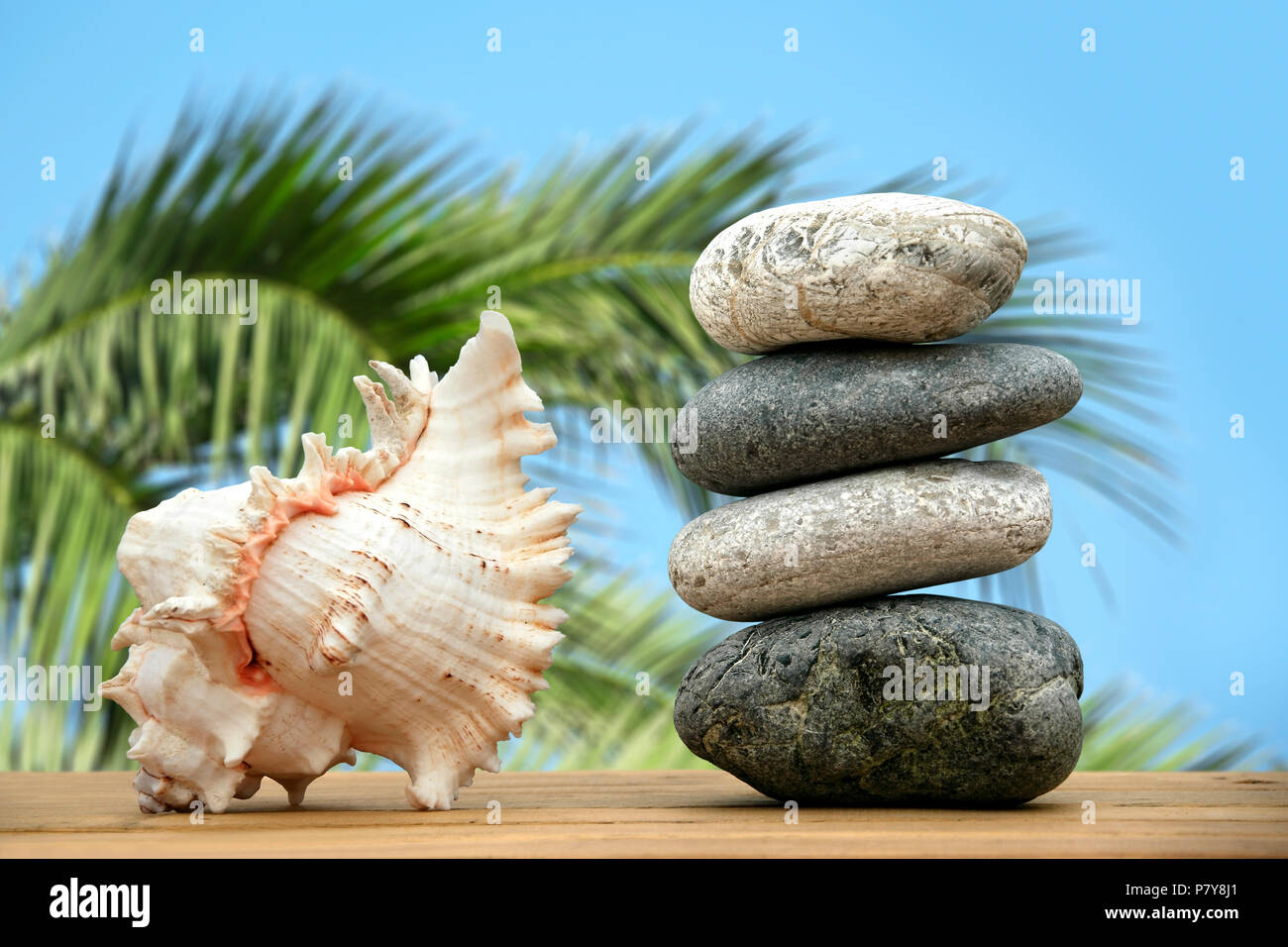 Shot perfect beach stones hi-res stock photography and images - Alamy