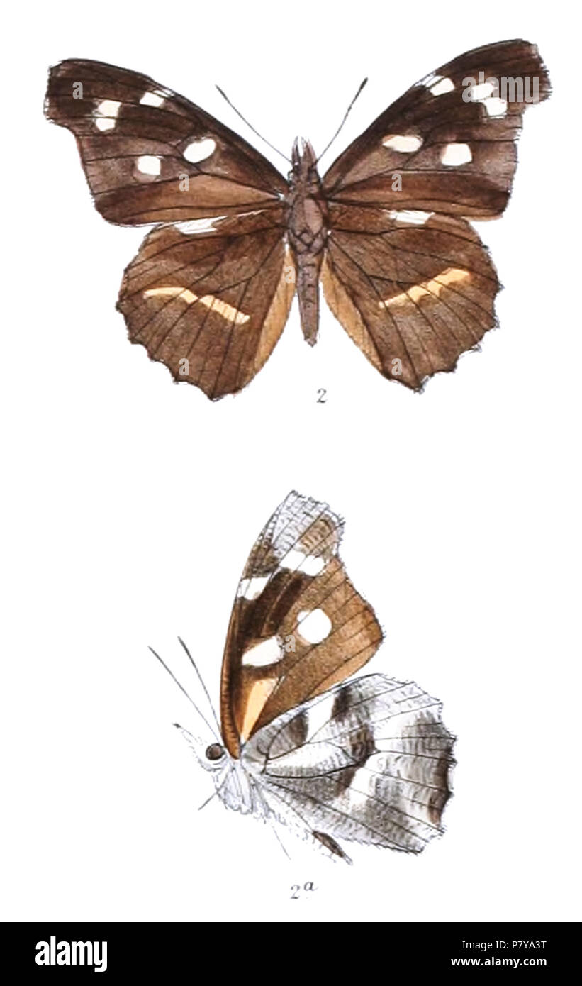 245 2 Cut Out Stock Images & Pictures - Alamy