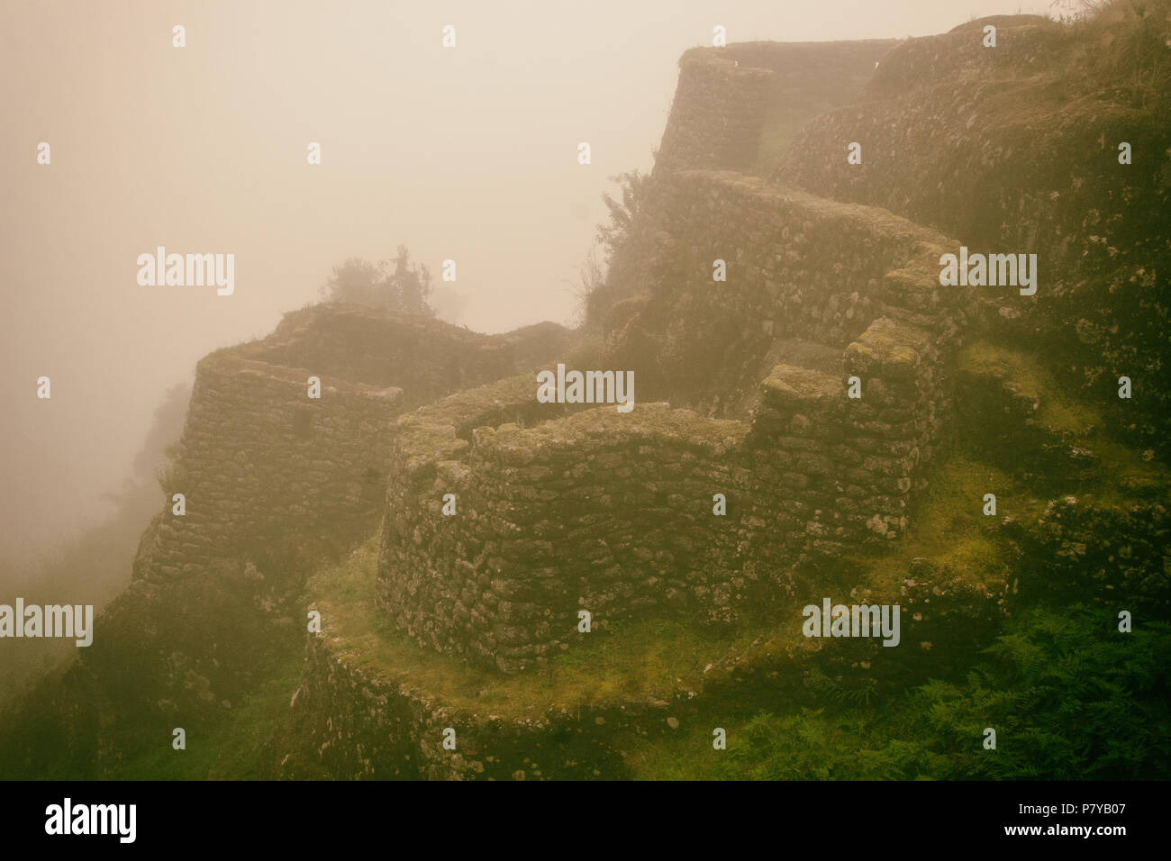 Ancient stone ruins in mist on the Inca Trail. Peru. South America. No ...