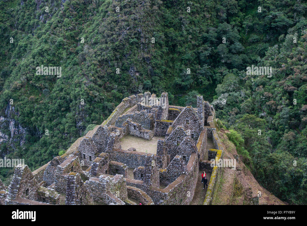 Ancient stone ruins and the forest Stock Photo - Alamy