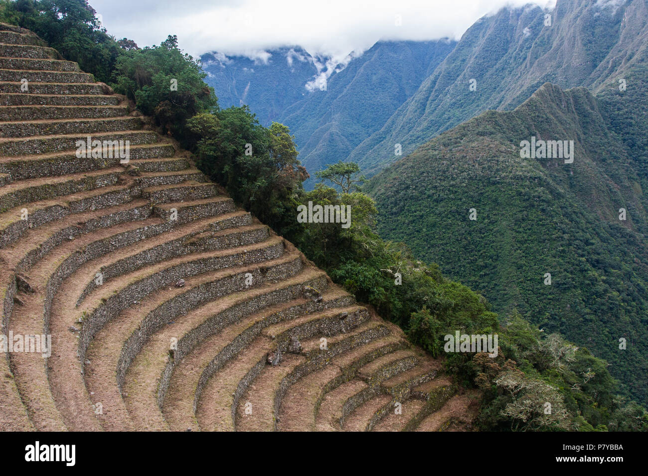 Ancient Inca stone farming terraces. Inca Trail, Peru Stock Photo - Alamy