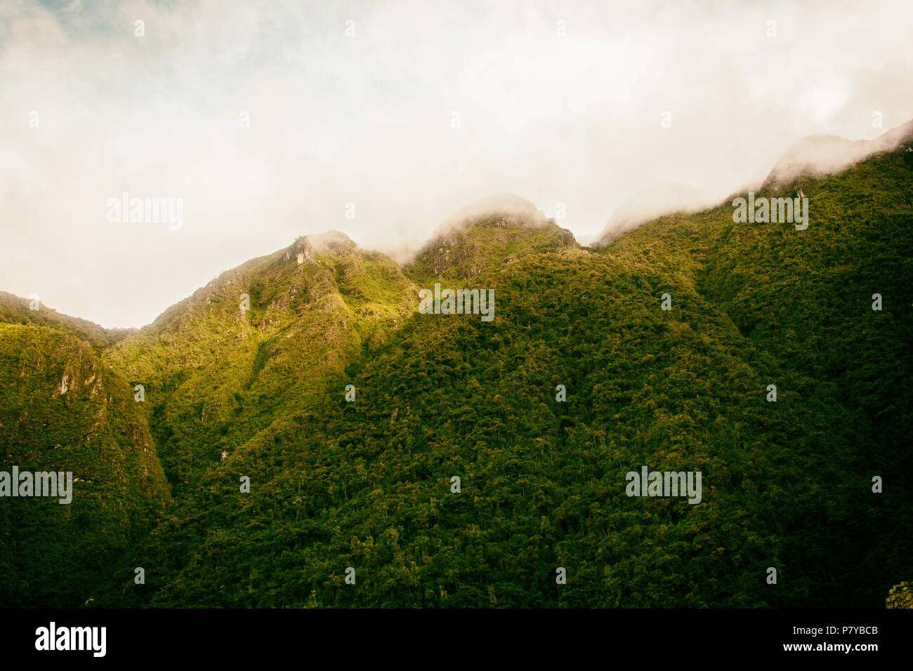 Golden colors of nature in the mountains Stock Photo - Alamy