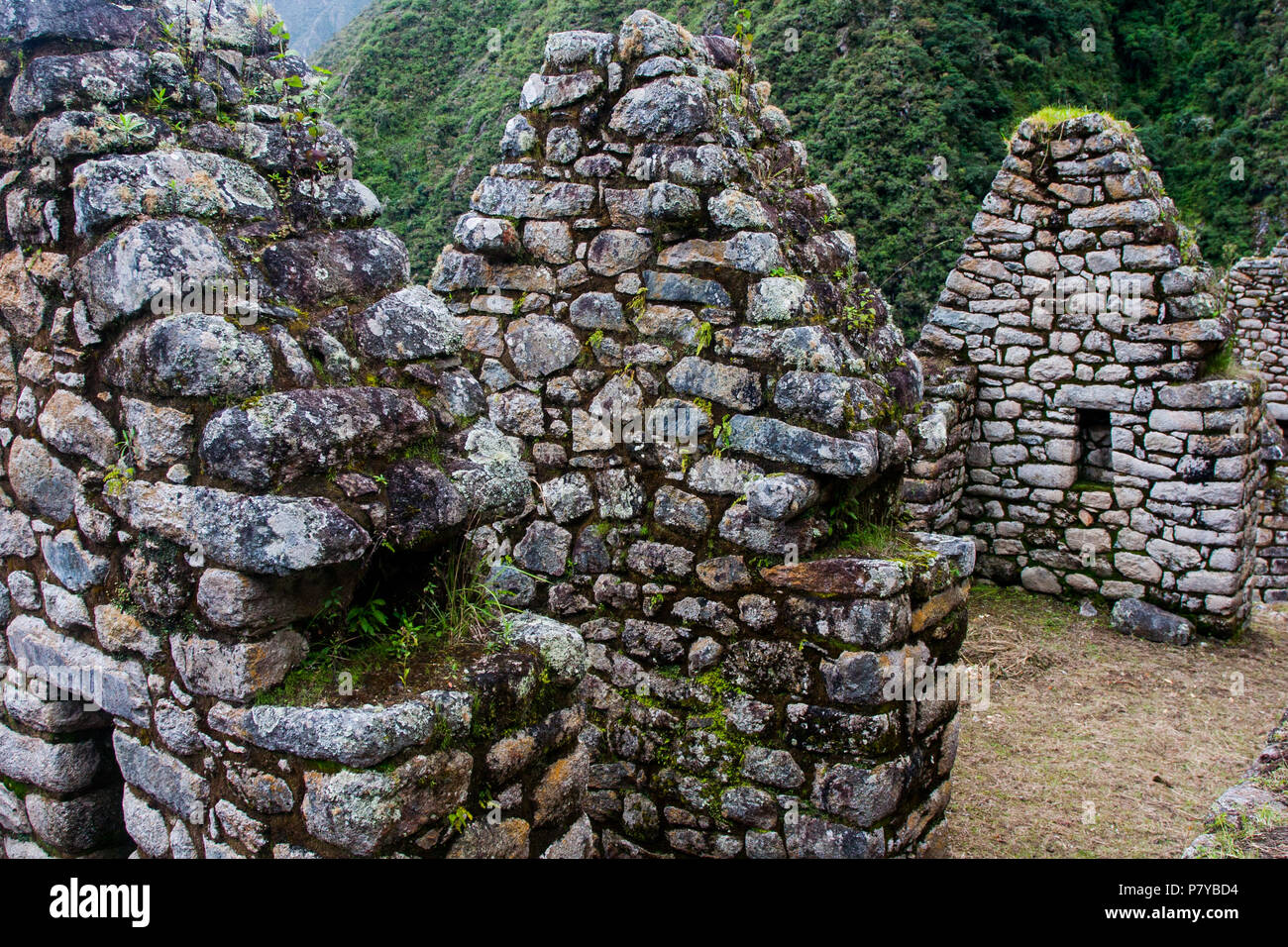 An ancient Inca town on the Inca trail Stock Photo - Alamy