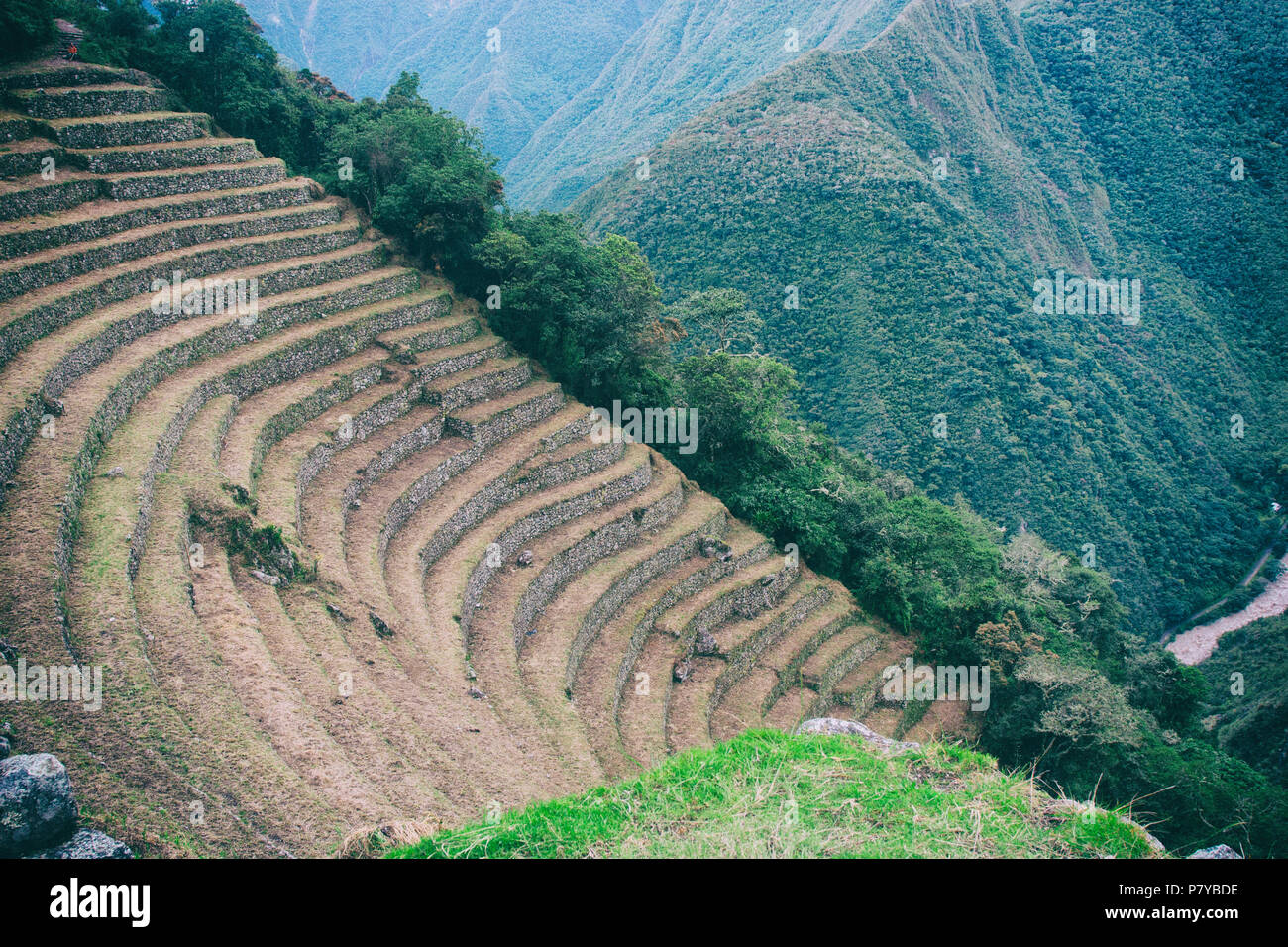 Inca Terrace Farming