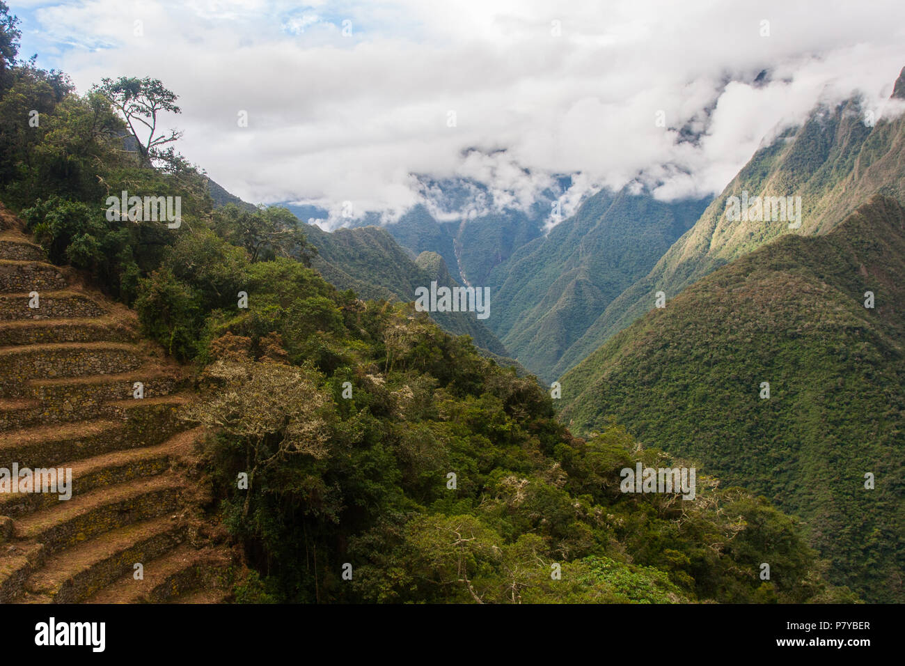 Nature surrounding farming terraces Stock Photo - Alamy