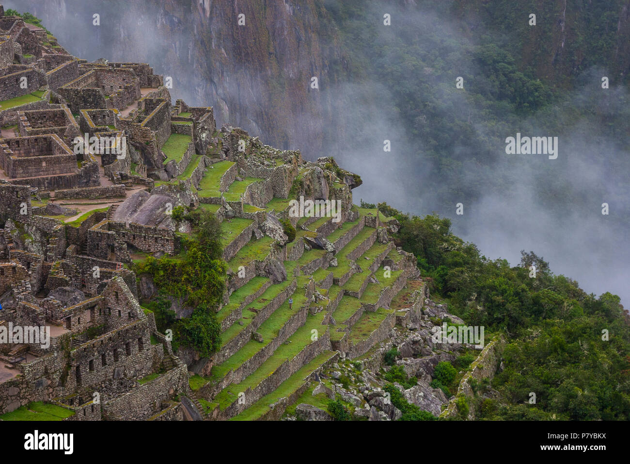 Farming terraces of Machu Picchu Stock Photo - Alamy