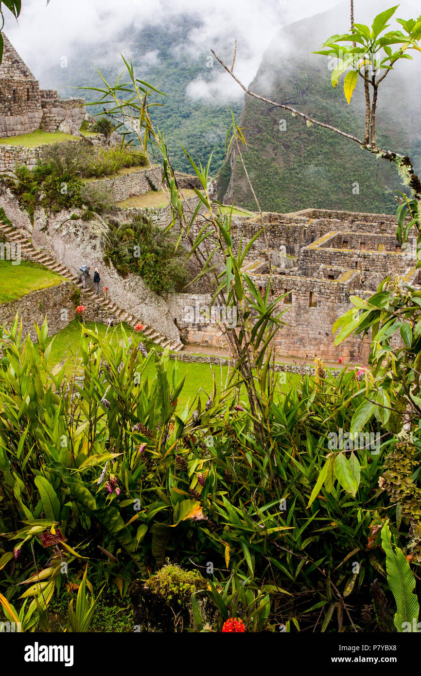 Ancient ruins behind colorful nature Stock Photo - Alamy