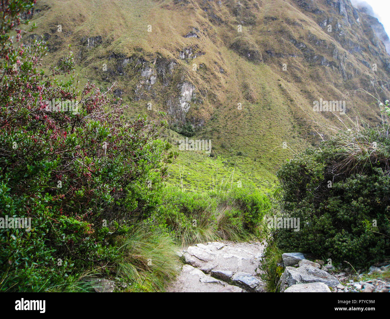 Hike on the ancient Inca Trail paved path to Machu Picchu. Peru. No ...