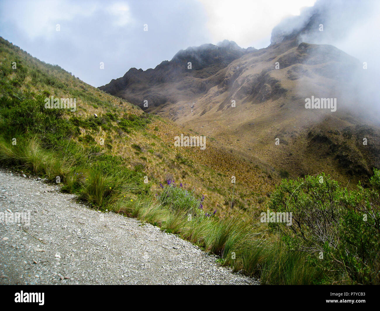 Hike on the ancient Inca Trail paved path to Machu Picchu. Peru. No ...