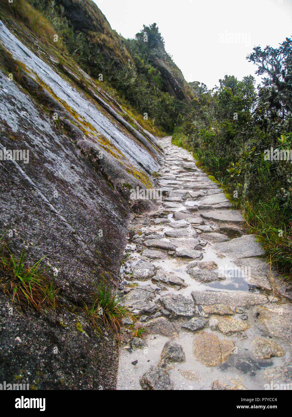 Hike on the ancient Inca Trail paved path to Machu Picchu. Peru. No ...