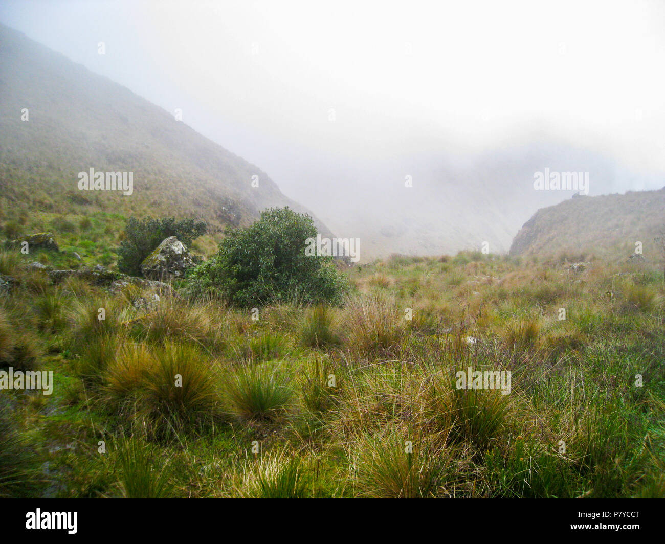 Path in mist Stock Photo - Alamy