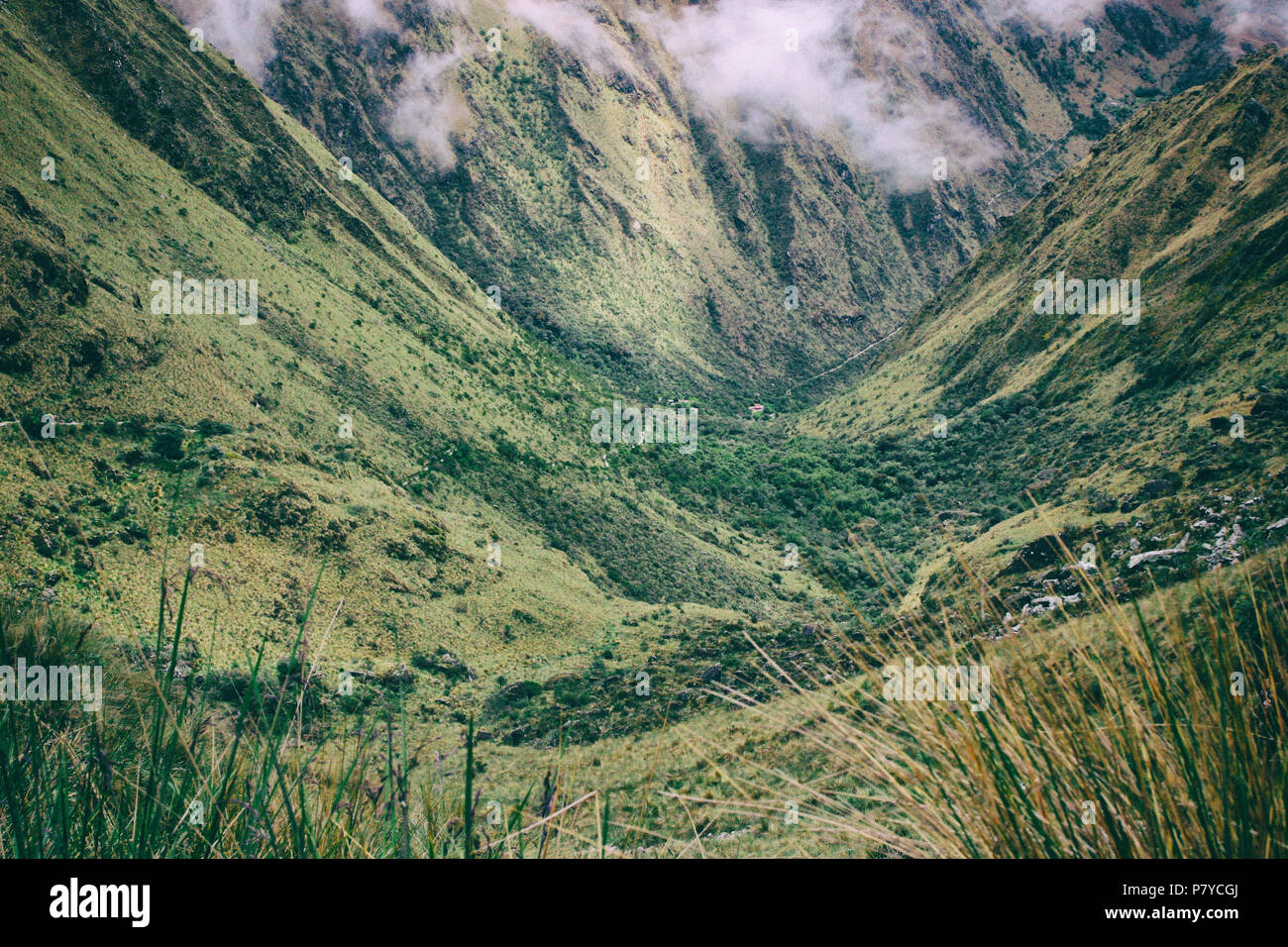 The nature in the valley Stock Photo - Alamy