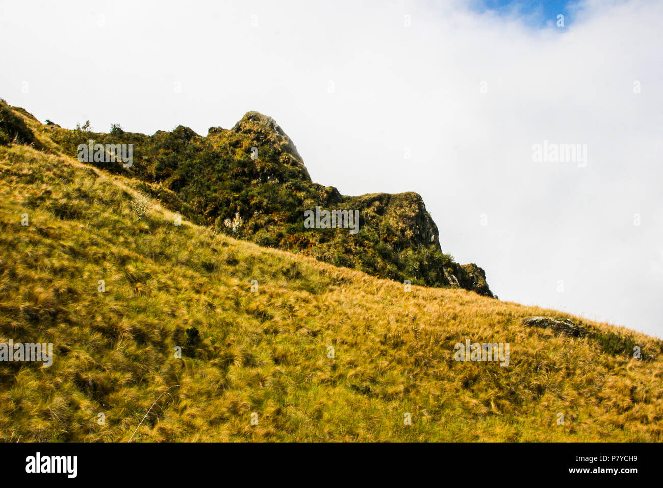 Colors of nature in the Andes Stock Photo - Alamy