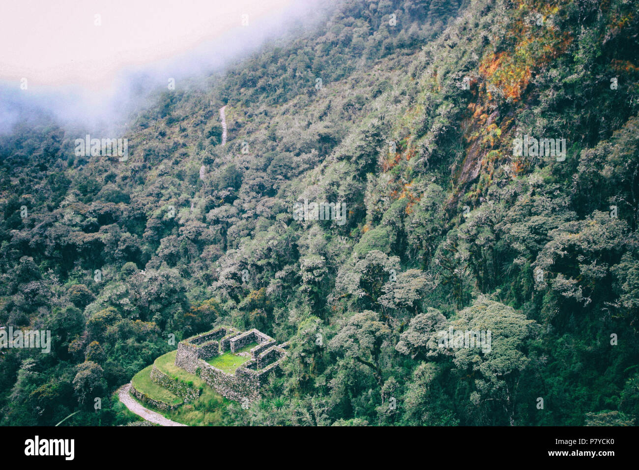 Inca Trail hiking path to an ancient ruin crossing the wild jungle ...