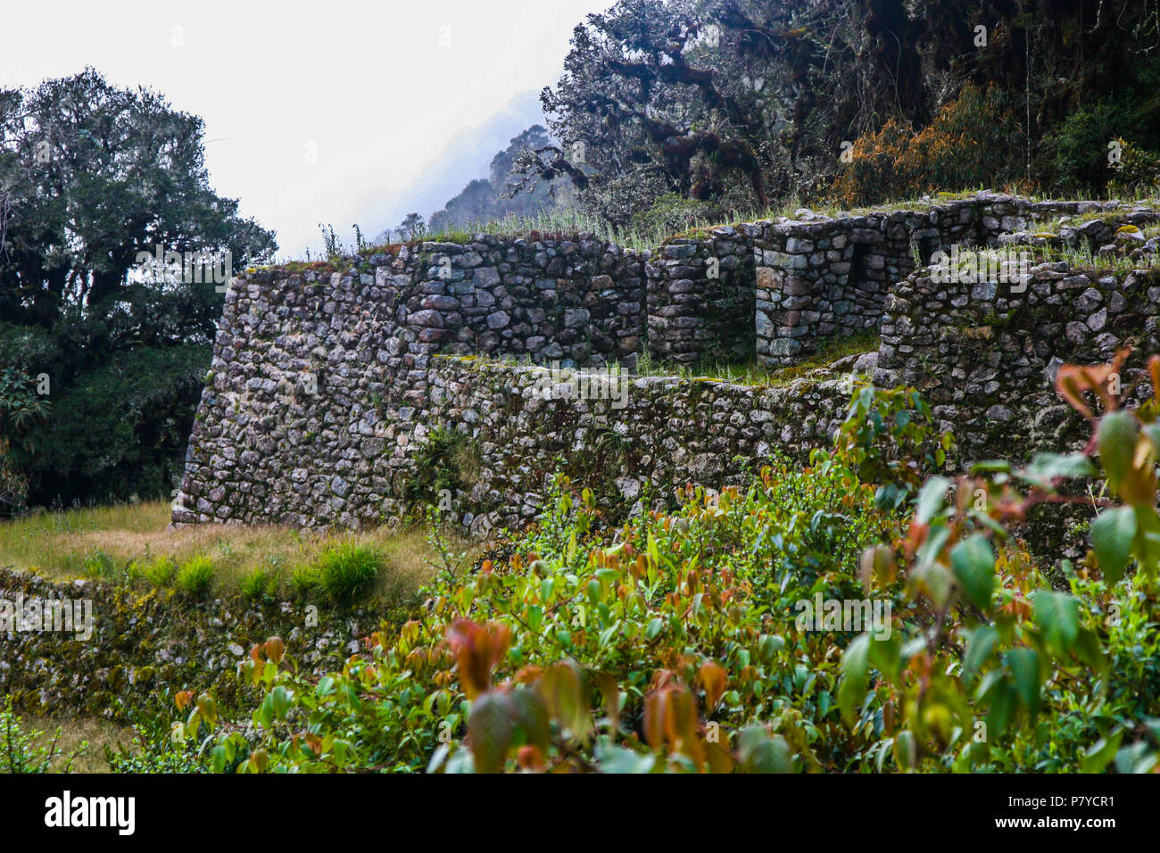 Nature colors near an ancient ruined checkpoint Stock Photo - Alamy