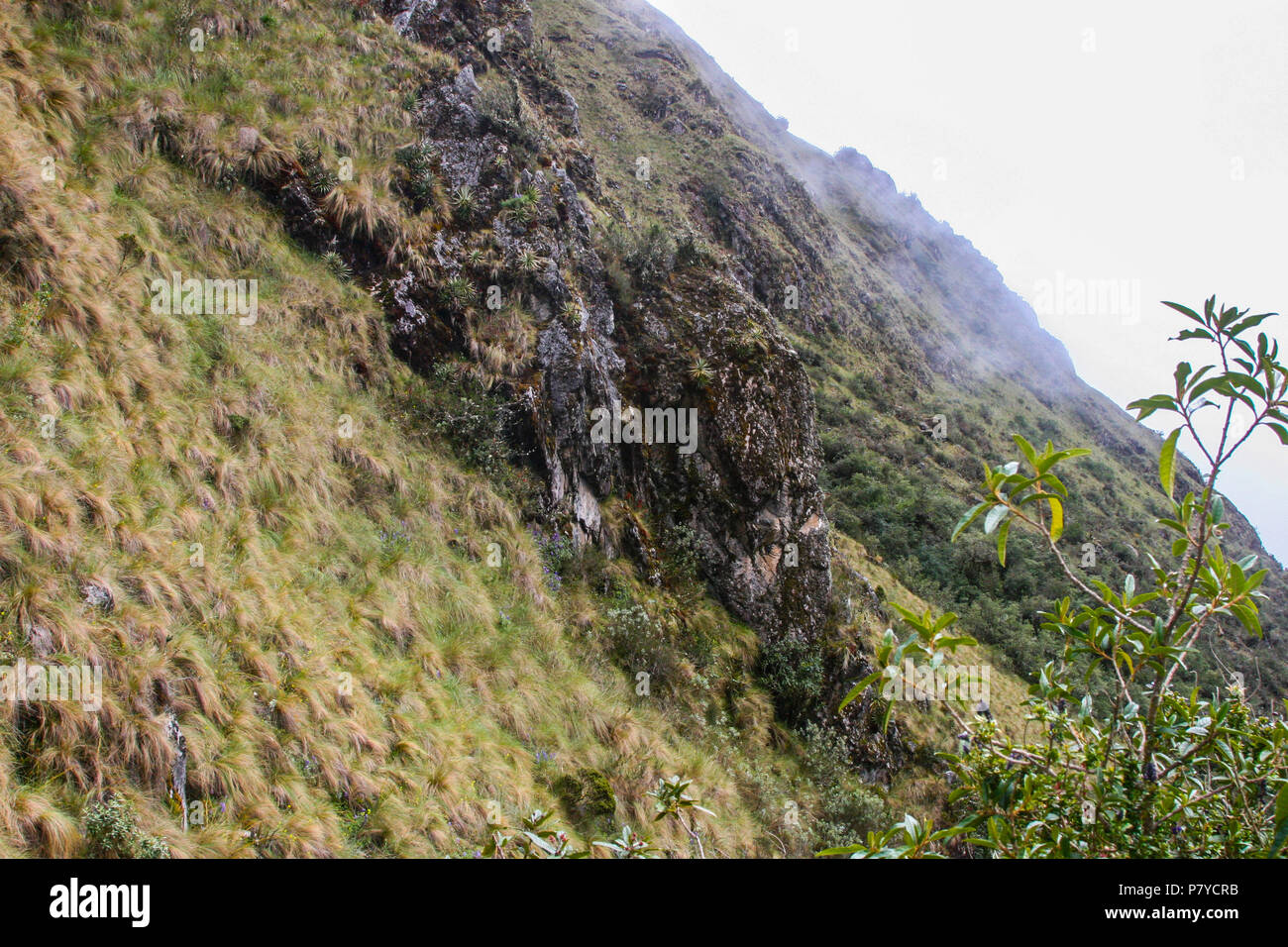 Timeless nature on the side of a mountain Stock Photo - Alamy