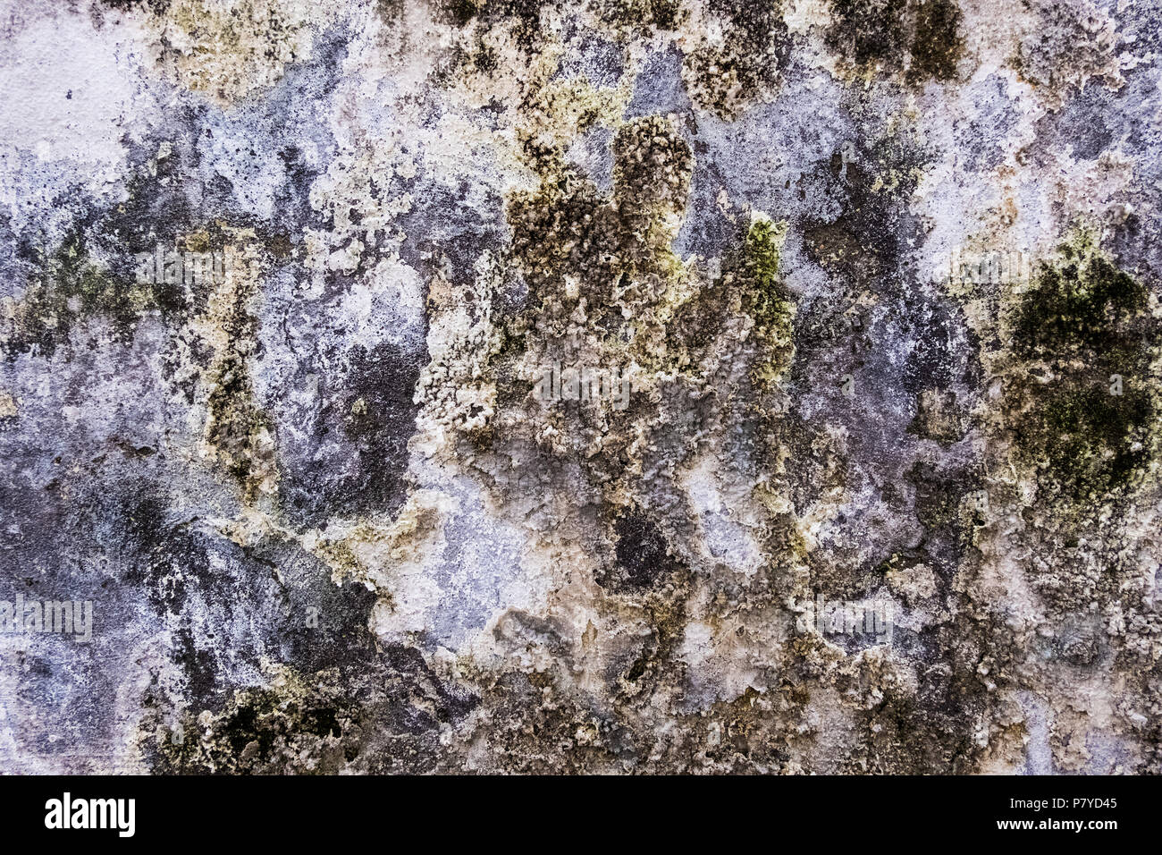 Warn humid concrete wall texture Stock Photo - Alamy