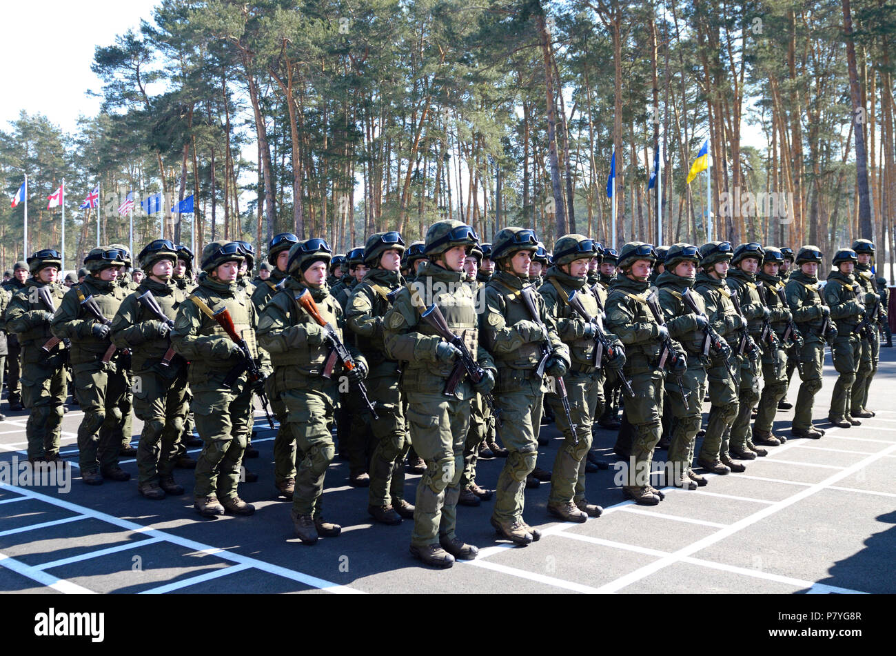 Soldiers of Ukrainian special forces of National guard standing in the ...