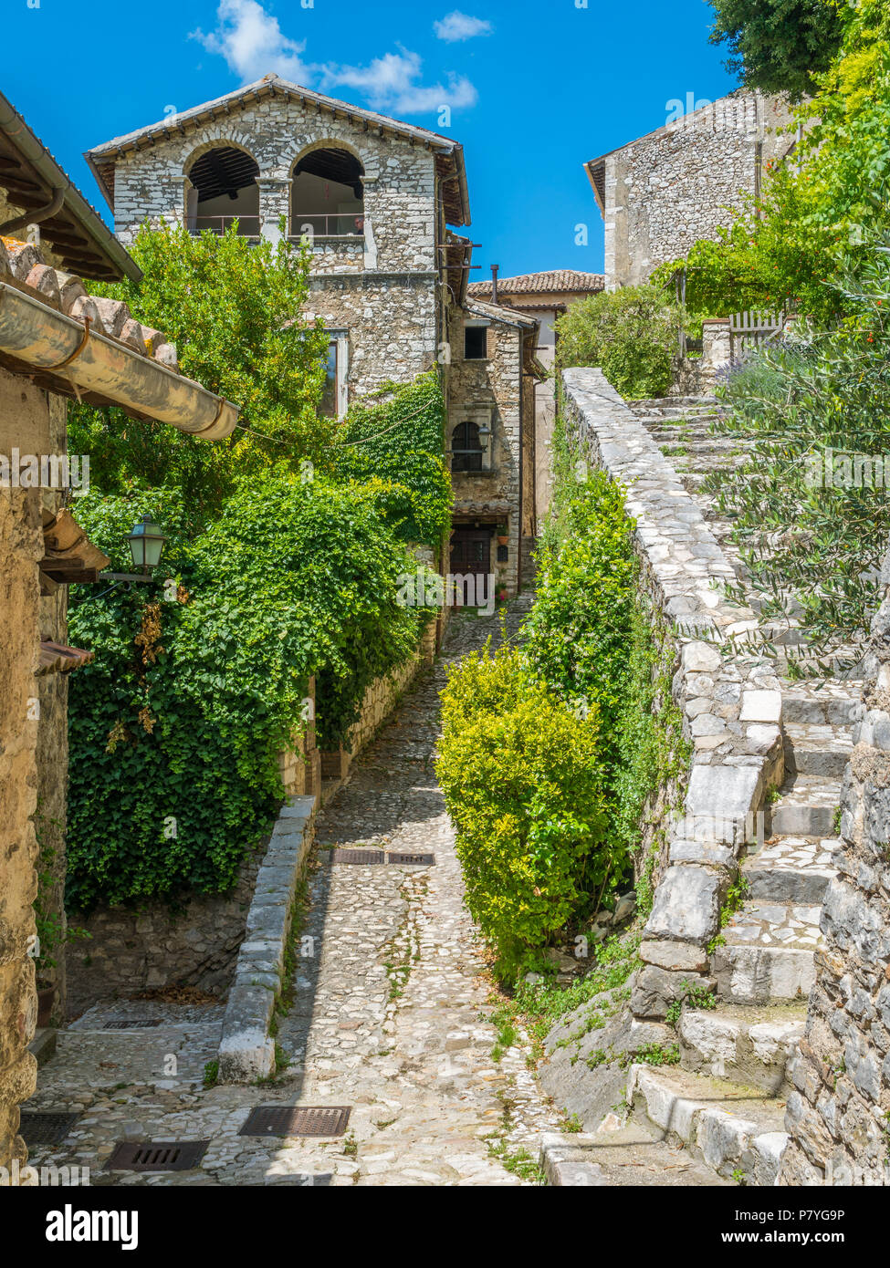 Labro hi-res stock photography and images - Alamy