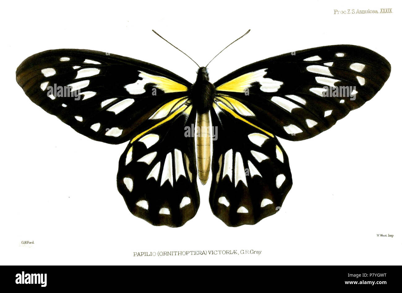 1856 1857 Cut Out Stock Images & Pictures - Alamy