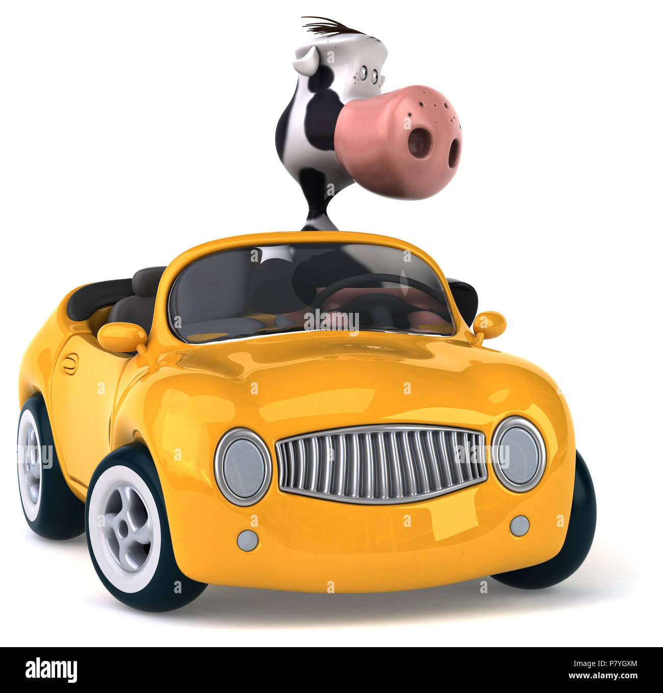 Cow driving car Cut Out Stock Images & Pictures - Alamy