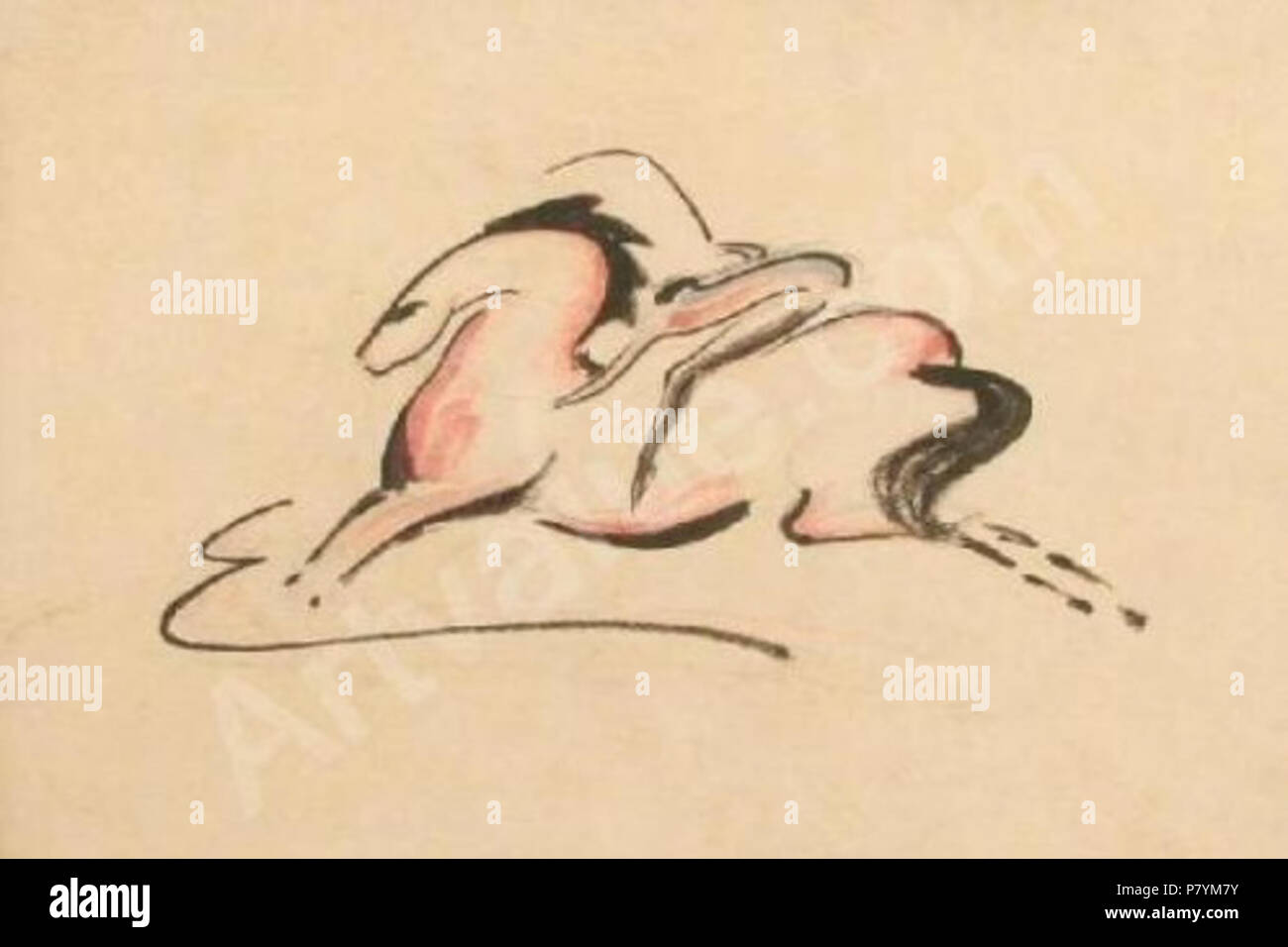 Reiter und pferd hi-res stock photography and images - Alamy