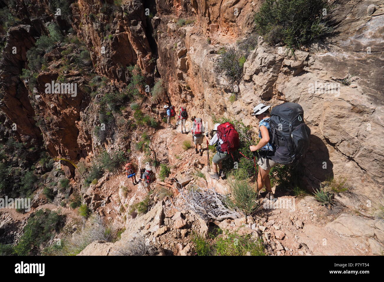 Backpackers descending a challenging portion of the Grandview Trail ...
