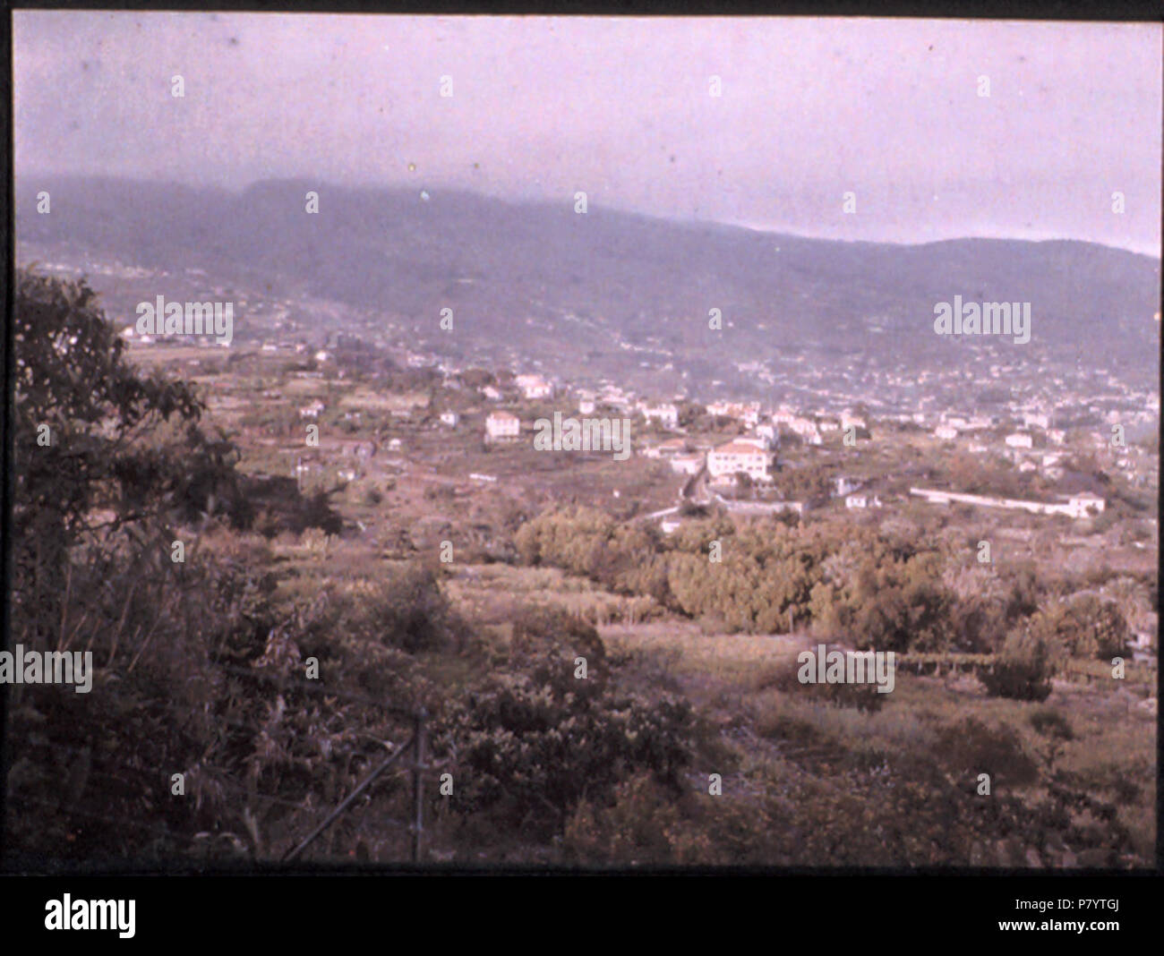 Colour Photograph (Autochrome) of a Landscape in Madeira, by Sarah ...