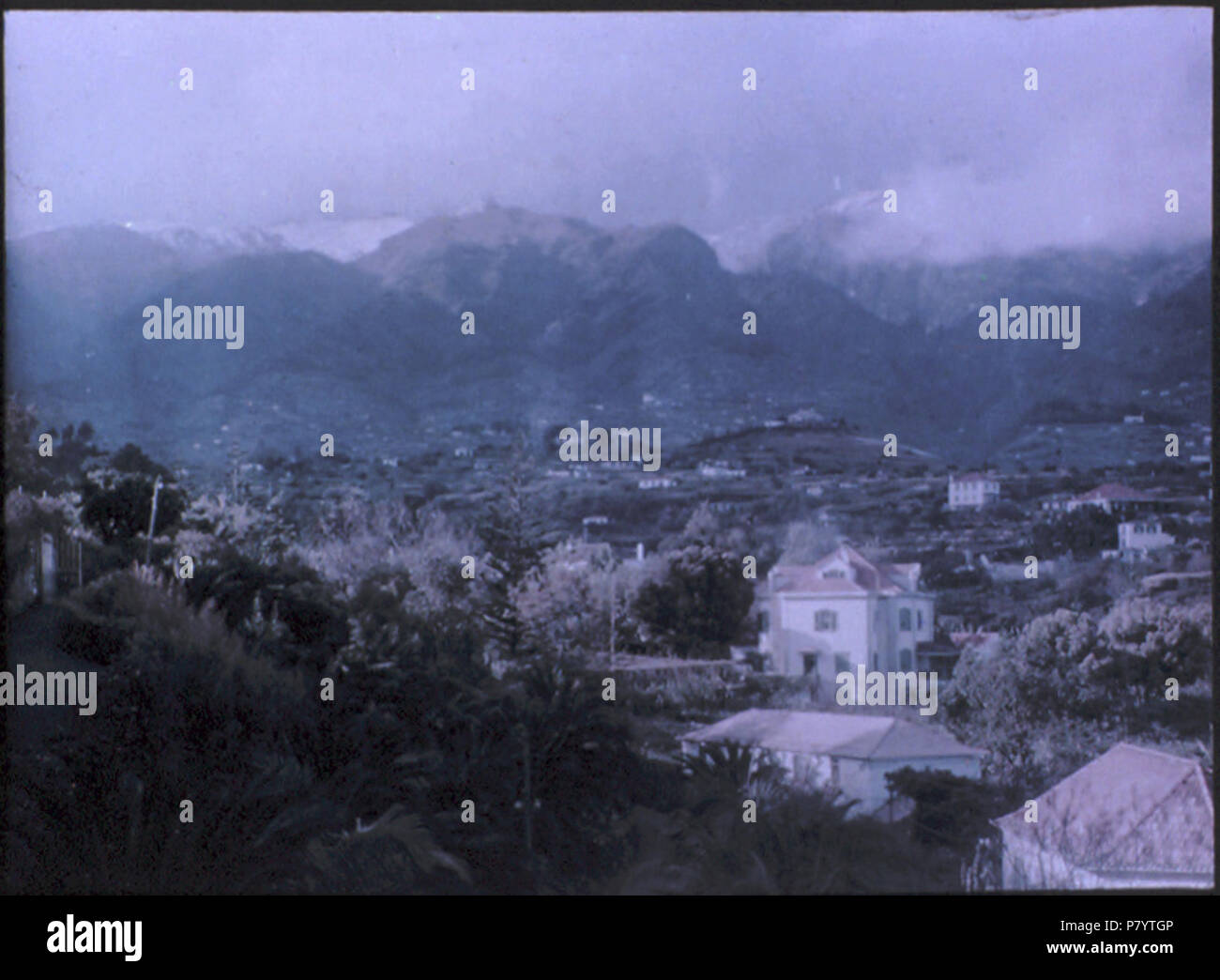 Colour Photograph (Paget Process) of a Landscape in Madeira, by Sarah ...