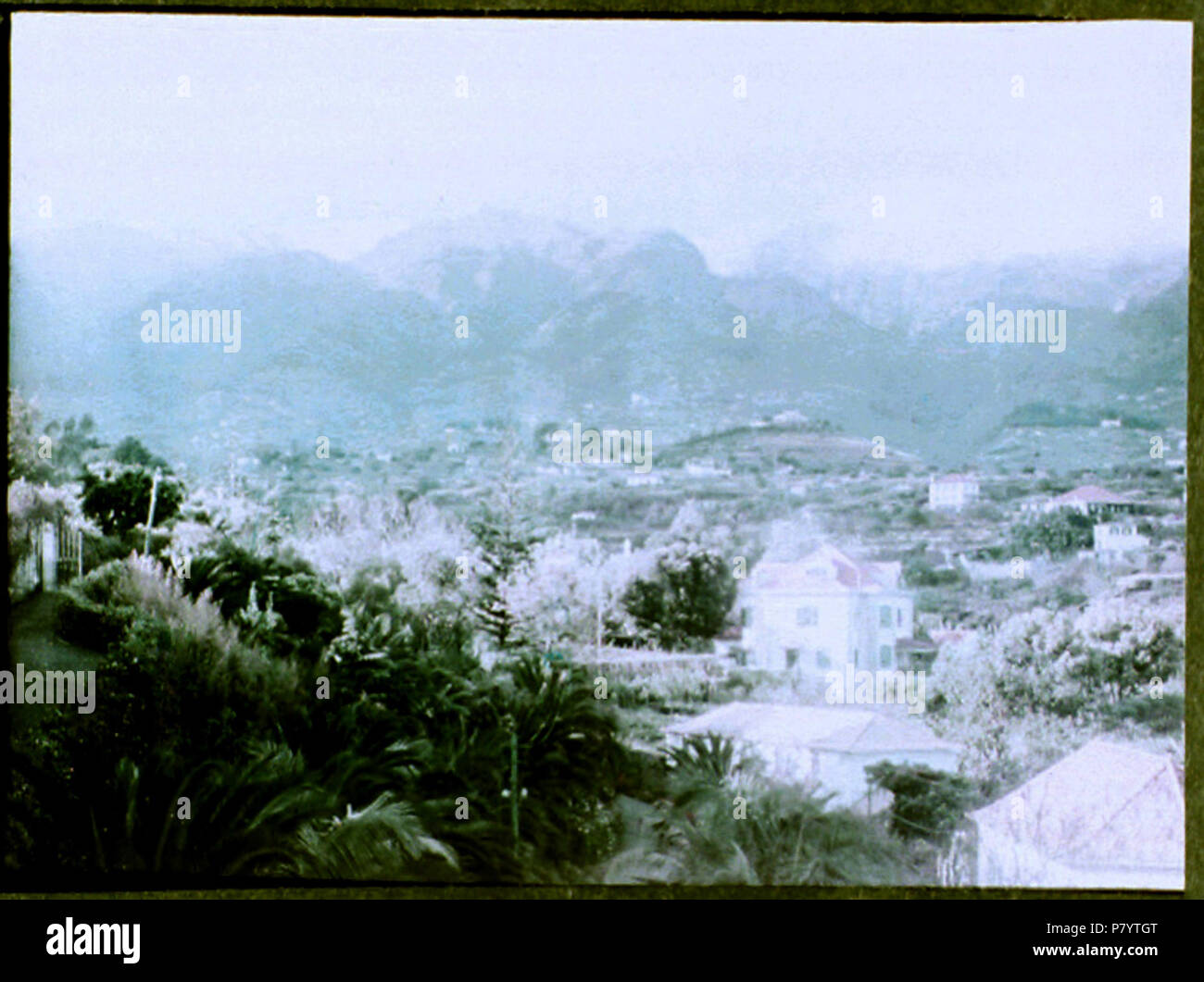 Colour Photograph (Paget Process) of a Landscape in Madeira, by Sarah ...