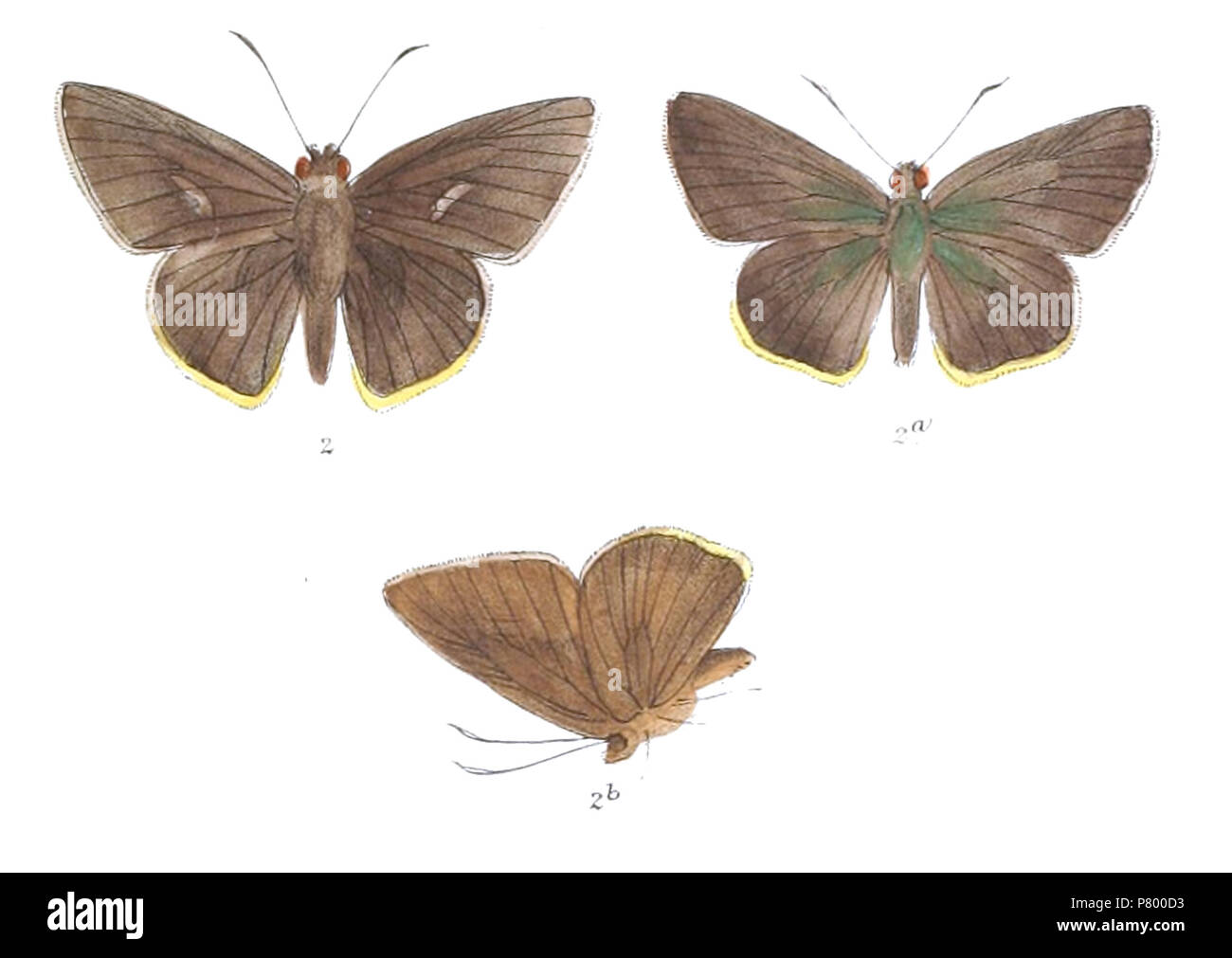 798 Cut Out Stock Images & Pictures - Alamy