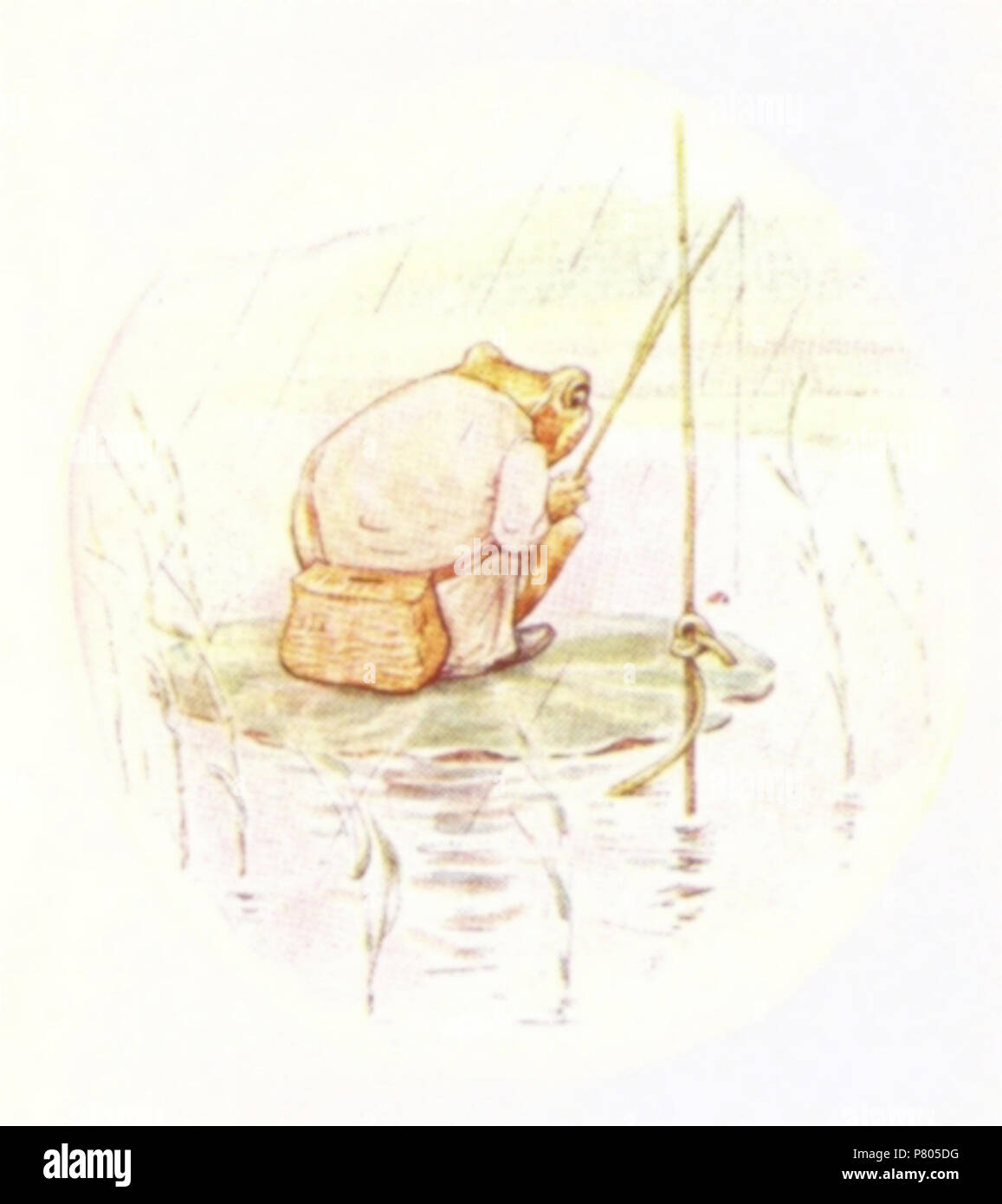 Jeremy fisher hi-res stock photography and images - Alamy