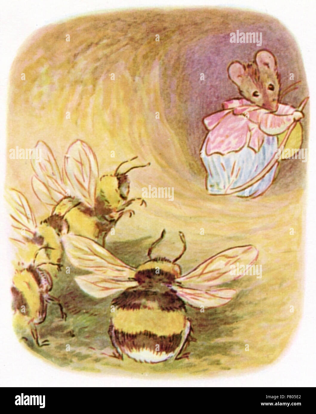 English: Illustration of Mrs. Tittlemouse from The Tale of Mrs ...