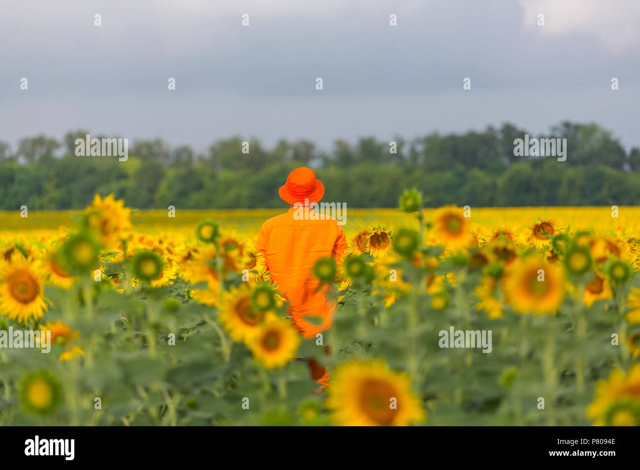 Sunner season hi-res stock photography and images - Alamy