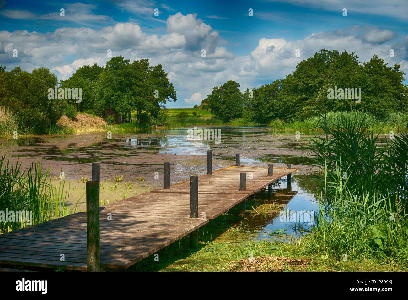Summer landscape with lake and bridge with blue cloudy sky and trees in ...